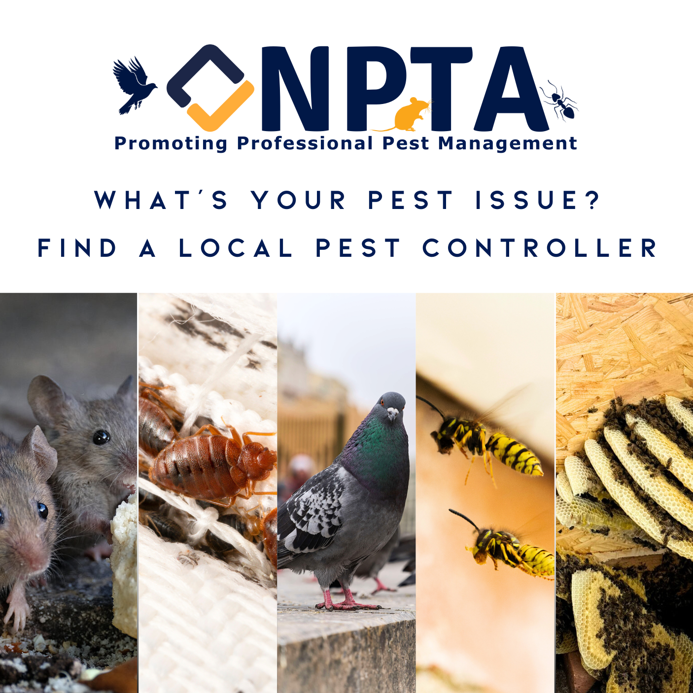 Find Pest Controller Near Me - NPTA