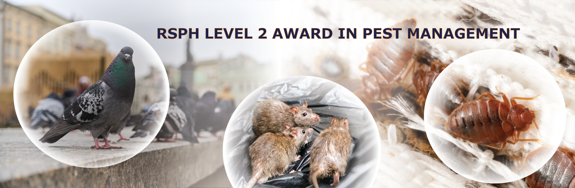 RSPH L2 Award in Pest Management - NPTA